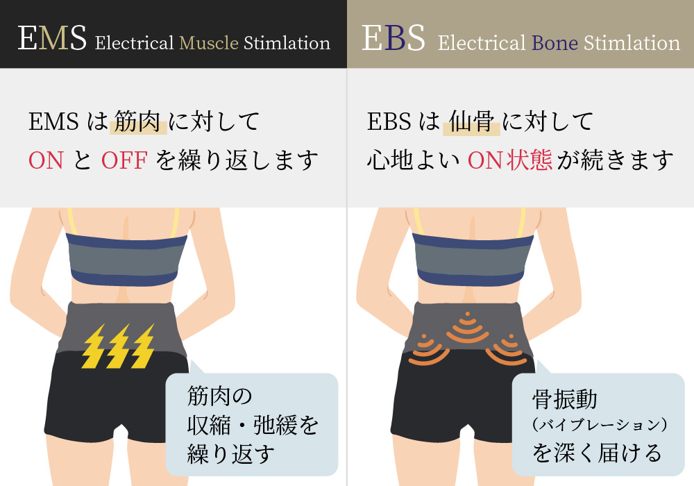 BONE Active（ボーンアクティヴ）｜美容製品｜株式会社Star'Q